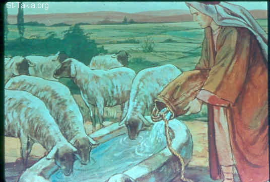 Genesis 29 Commentary | Old Testament | Matthew Henry | St-Takla.org