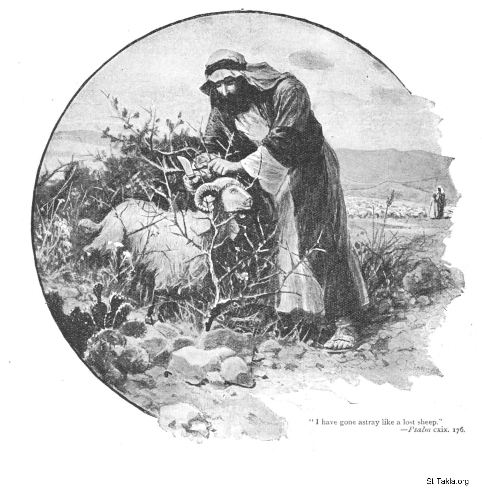 Image Ps 119 176 I Have Gone Astray Like A Lost Sheep Image Ps 119 176 I Have Gone Astray Like A Lost Sheep