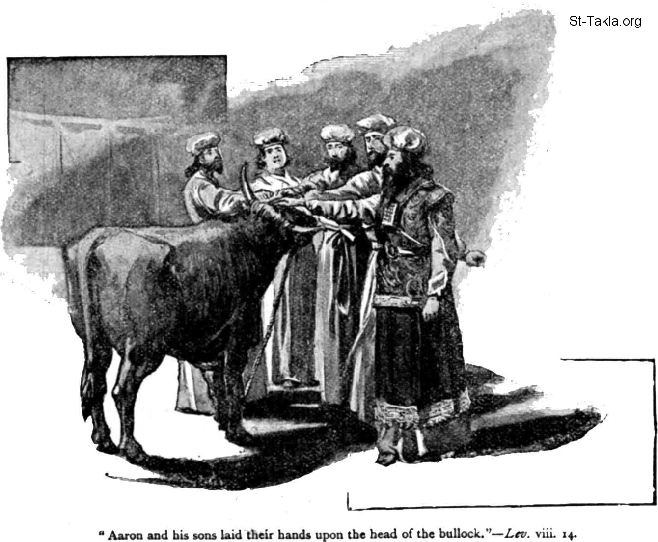 Image: lev 8 aaron and his sons laid their hands upon the bullock Image: lev 8 aaron and his sons laid their hands upon the bullock