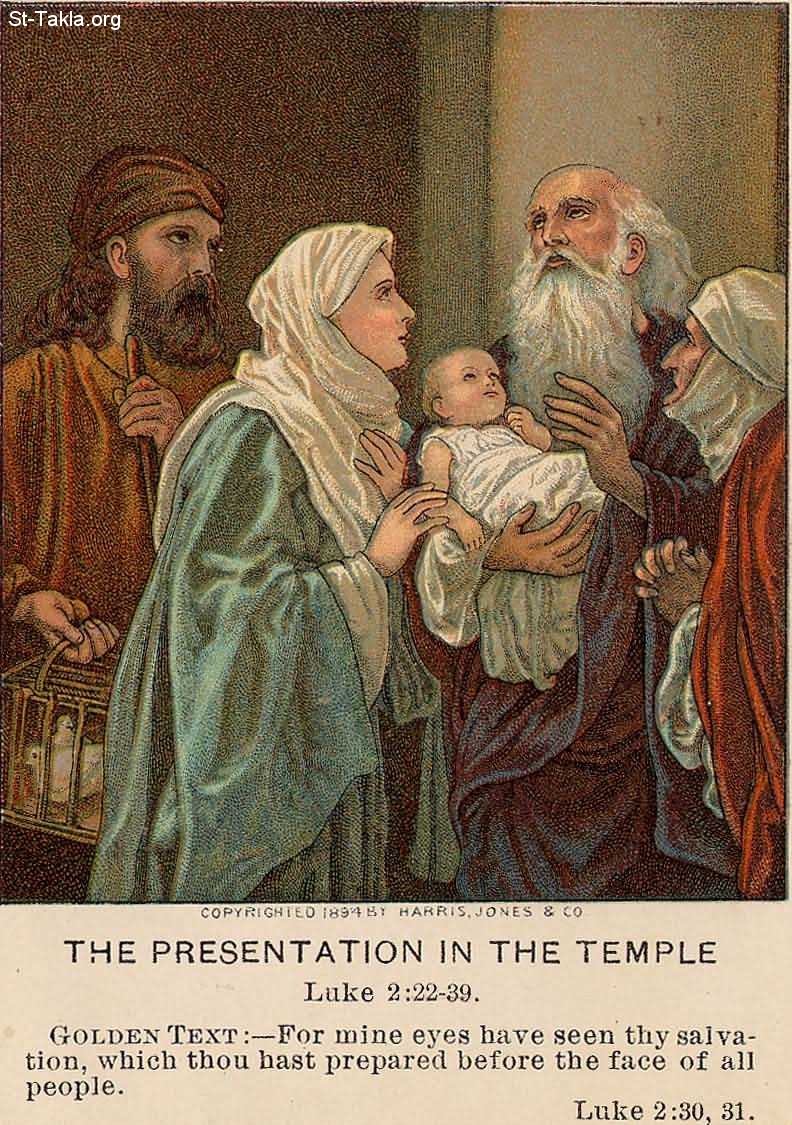 Image Luke2 2 image-luke2-2