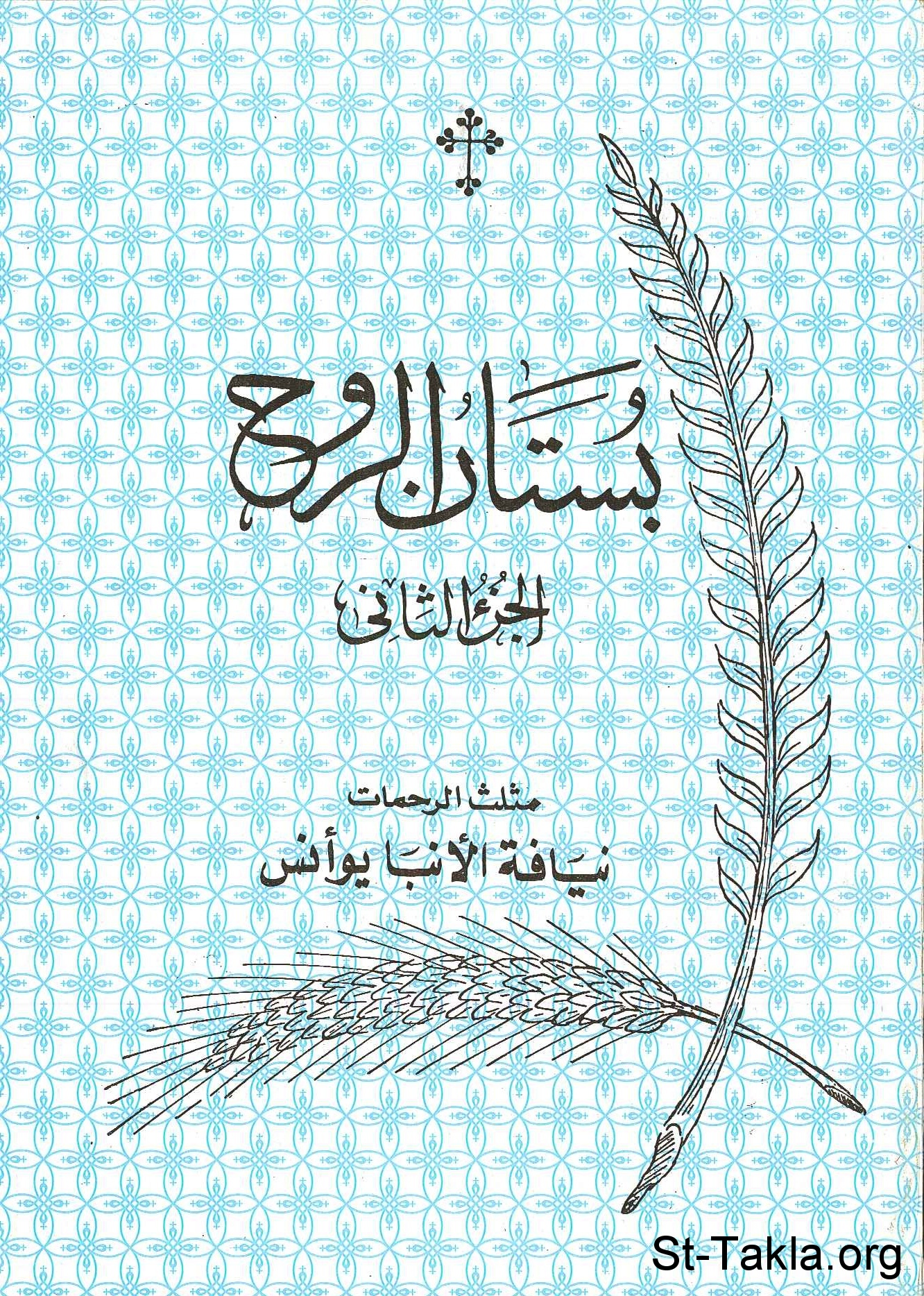 Image: anba youannes book cover 01 2 c