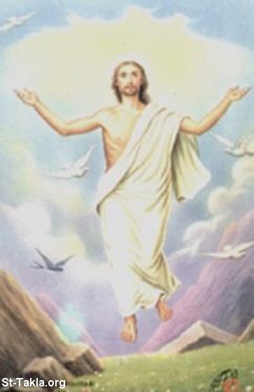2011 Easter Papal Message | St-Takla.org