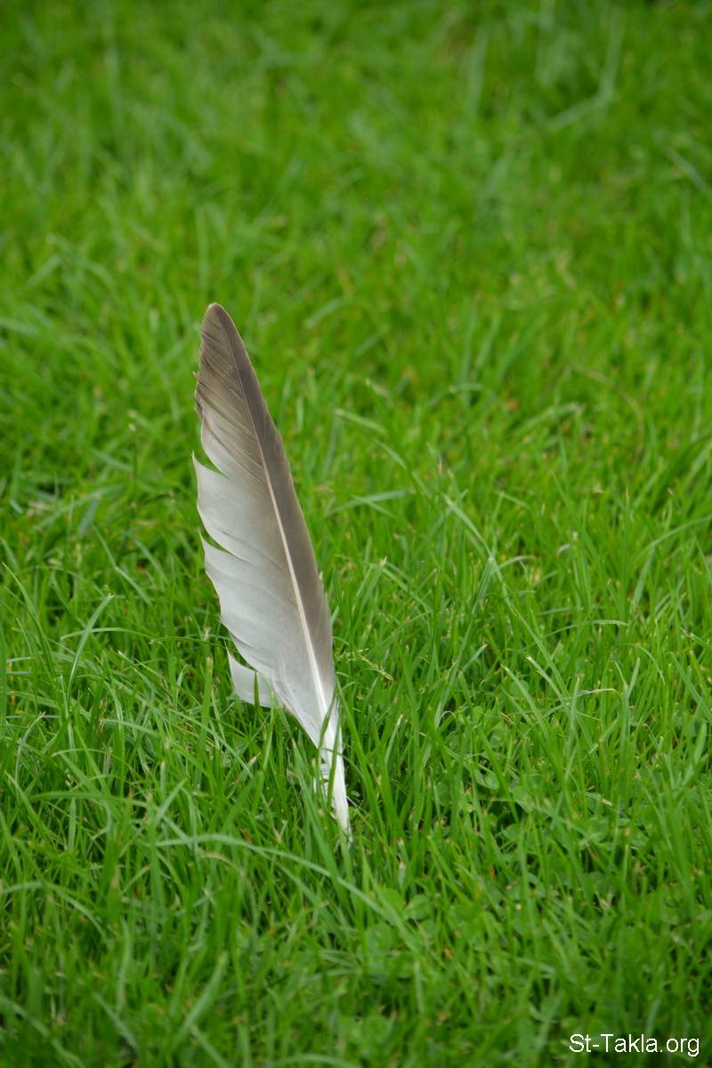 Image: 7 9 dublin rathfarnham castle collection 0865