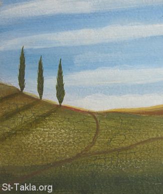 قصة: ثلاث شجرات | St-Takla.org